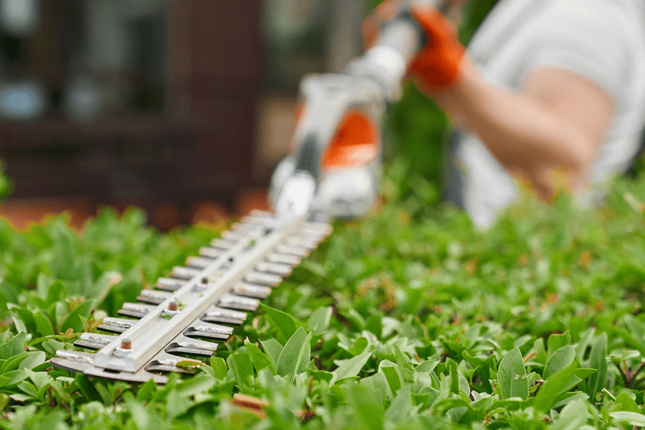 Pensasaidan leikkaus Joensuu - Pihastartti Oy